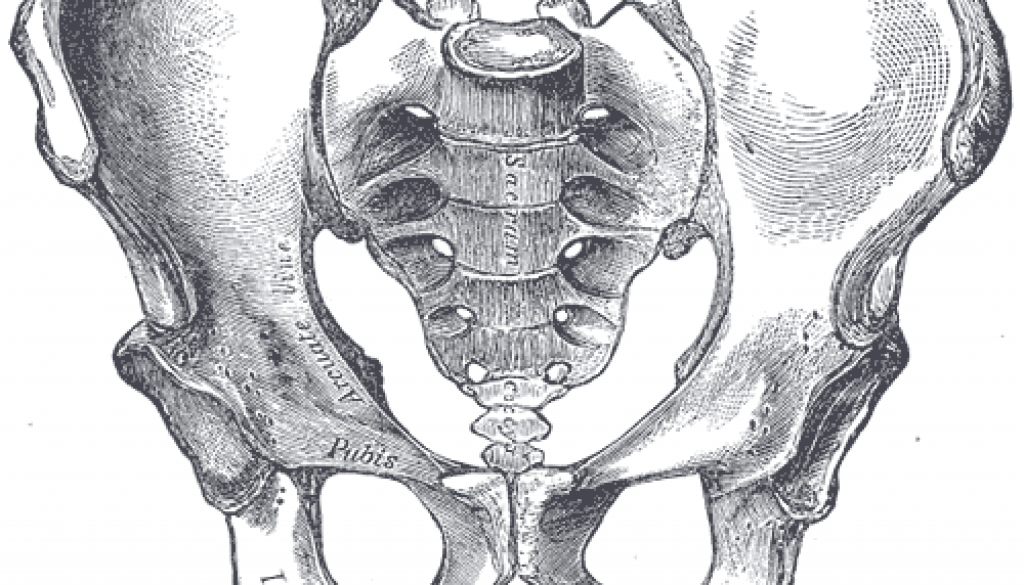 SIJ - OptiStart Chiropractic